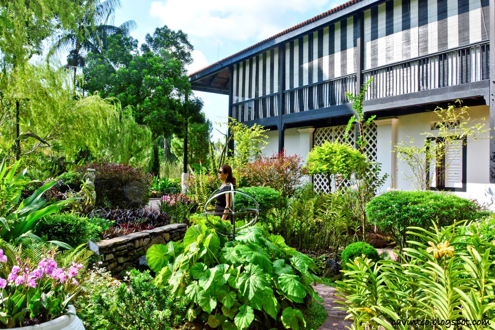 Entree Kibbles: VIP Orchid Garden (besides Burkill Hall) @ National ...